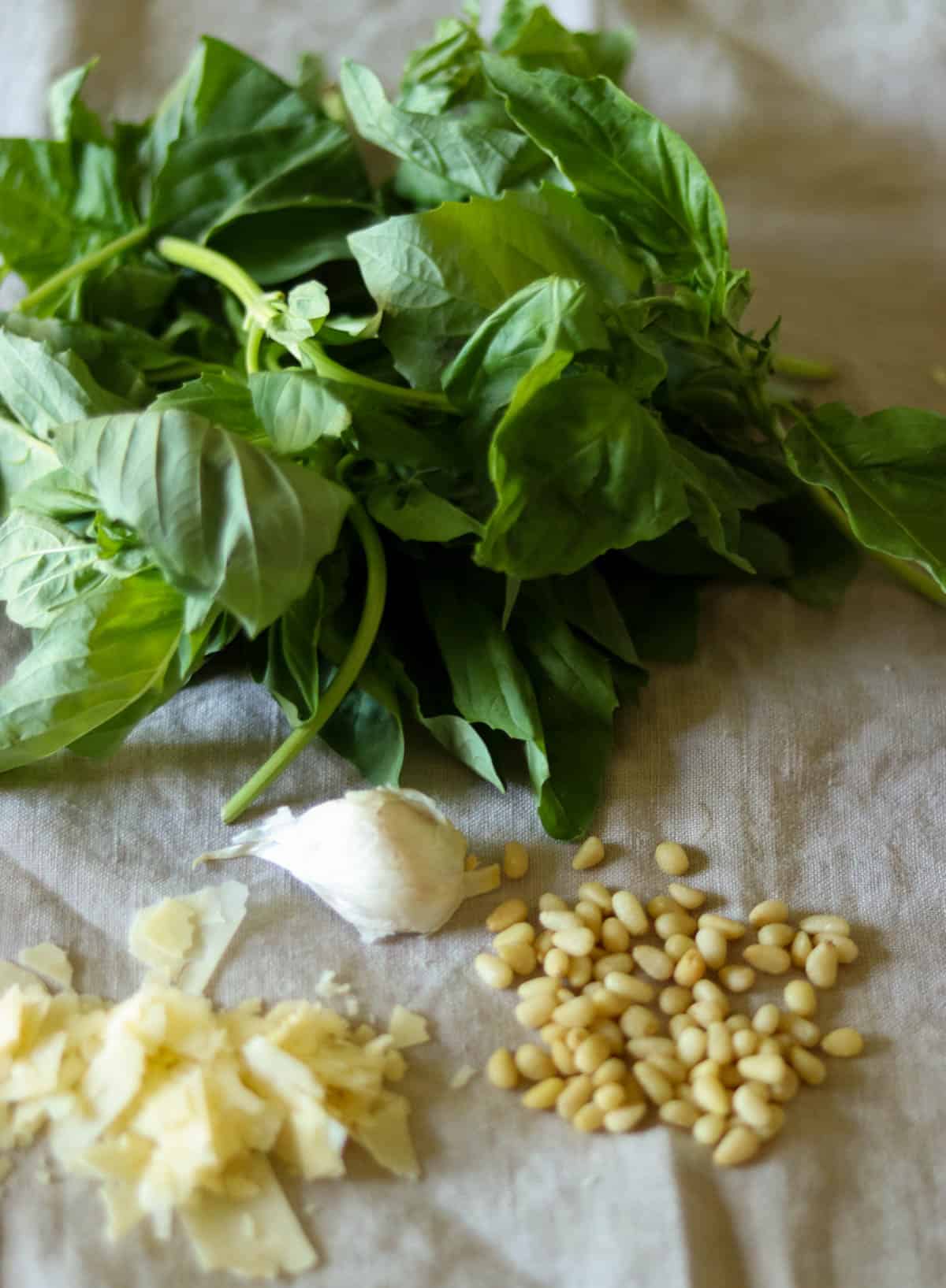 Pesto di Basilico (Basil Pesto) - The Copper Table