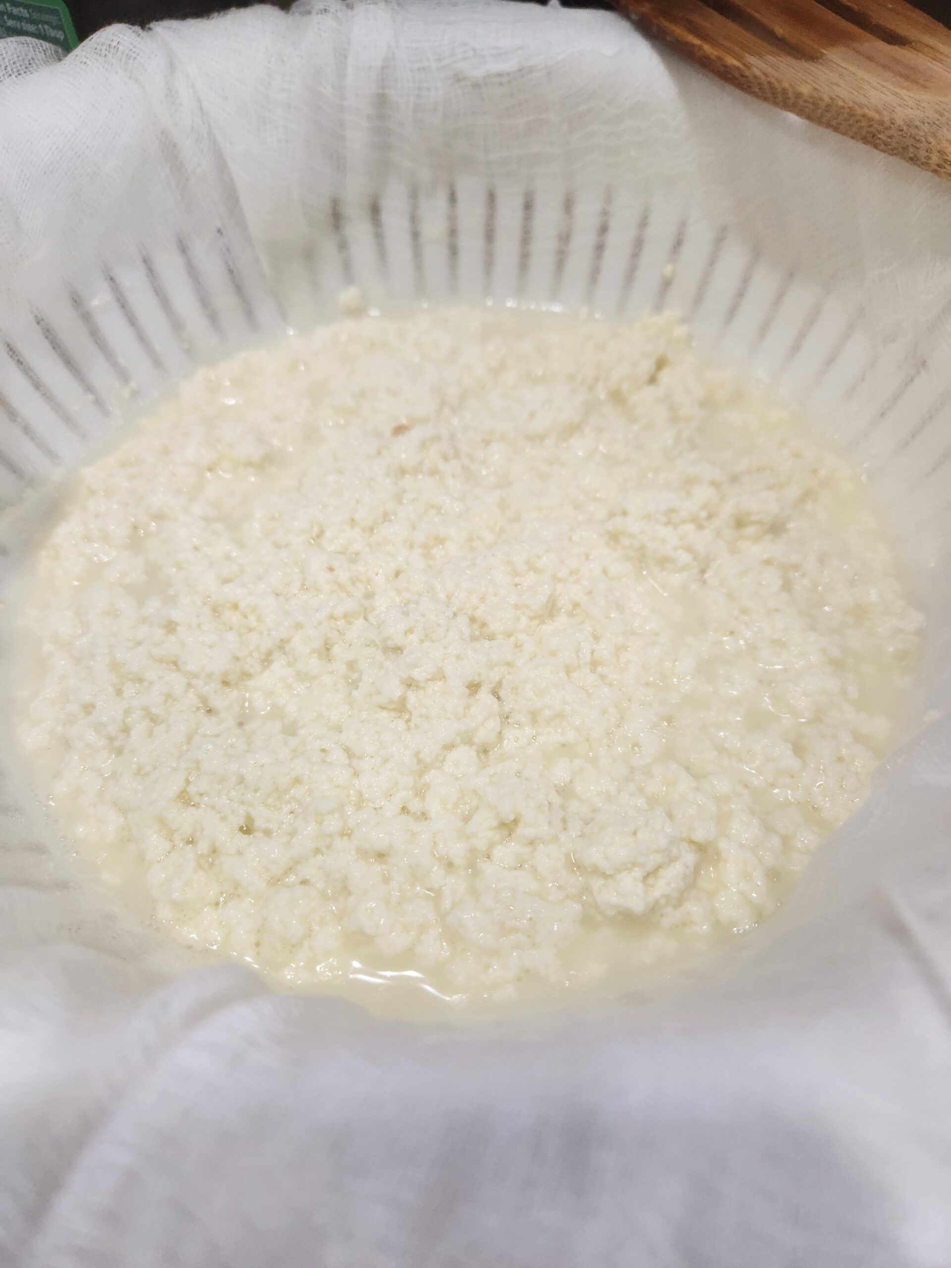 Homemade Whole Milk Ricotta Cheese